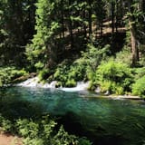 West Metolius River Trail, Oregon - 583 Reviews, Map | AllTrails