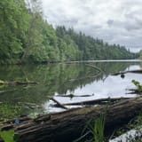 Lake Fenwick, Washington - 666 Reviews, Map | AllTrails