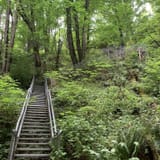 Lake Fenwick, Washington - 666 Reviews, Map | AllTrails