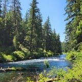 West Metolius River Trail, Oregon - 583 Reviews, Map | AllTrails