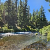 West Metolius River Trail, Oregon - 583 Reviews, Map | AllTrails