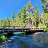 West Metolius River Trail, Oregon - 583 Reviews, Map | AllTrails