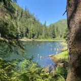 Spider Lake Trail, Washington - 240 Reviews, Map | AllTrails