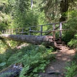 Spider Lake Trail, Washington - 240 Reviews, Map | AllTrails