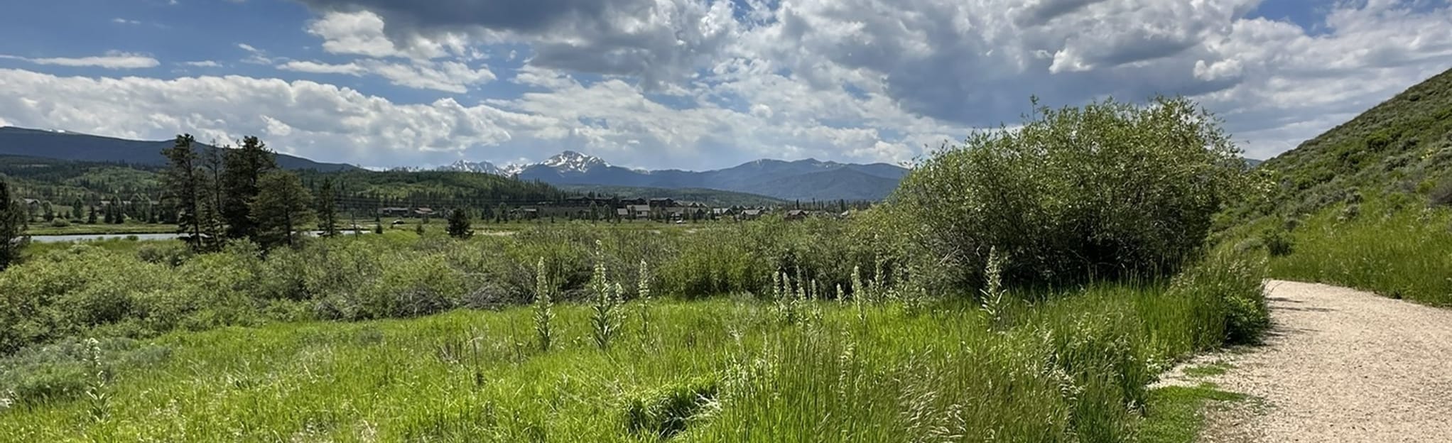 Fraser River Trail, Colorado - 410 Reviews, Map | AllTrails