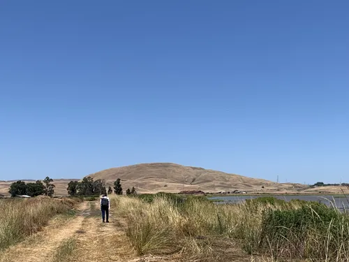 Best Hikes and Trails in San Pablo Bay National Wildlife Refuge | AllTrails