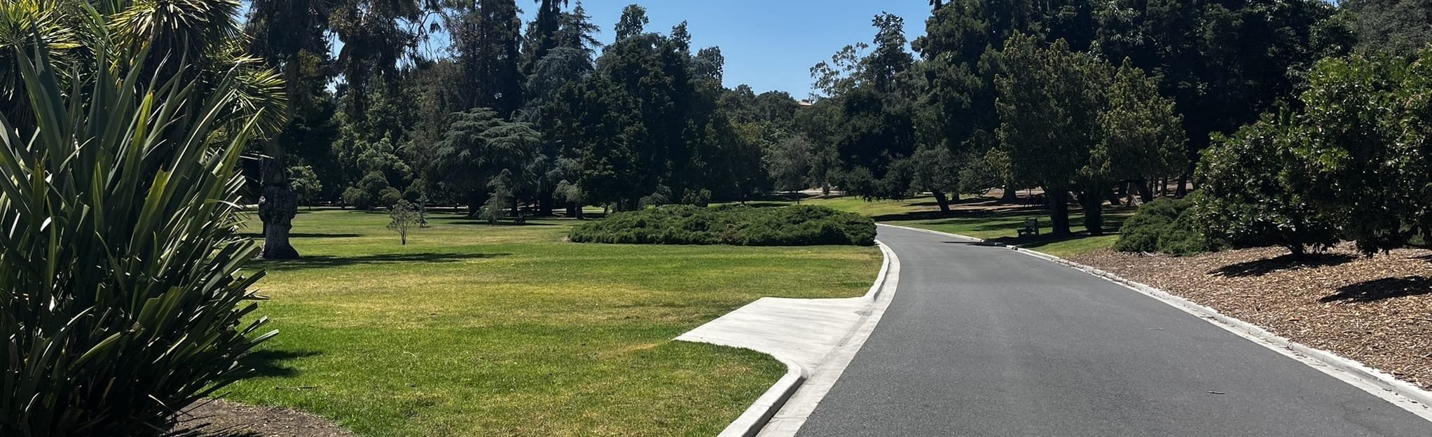 Lacy Park Loop, California - 254 Reviews, Map | AllTrails