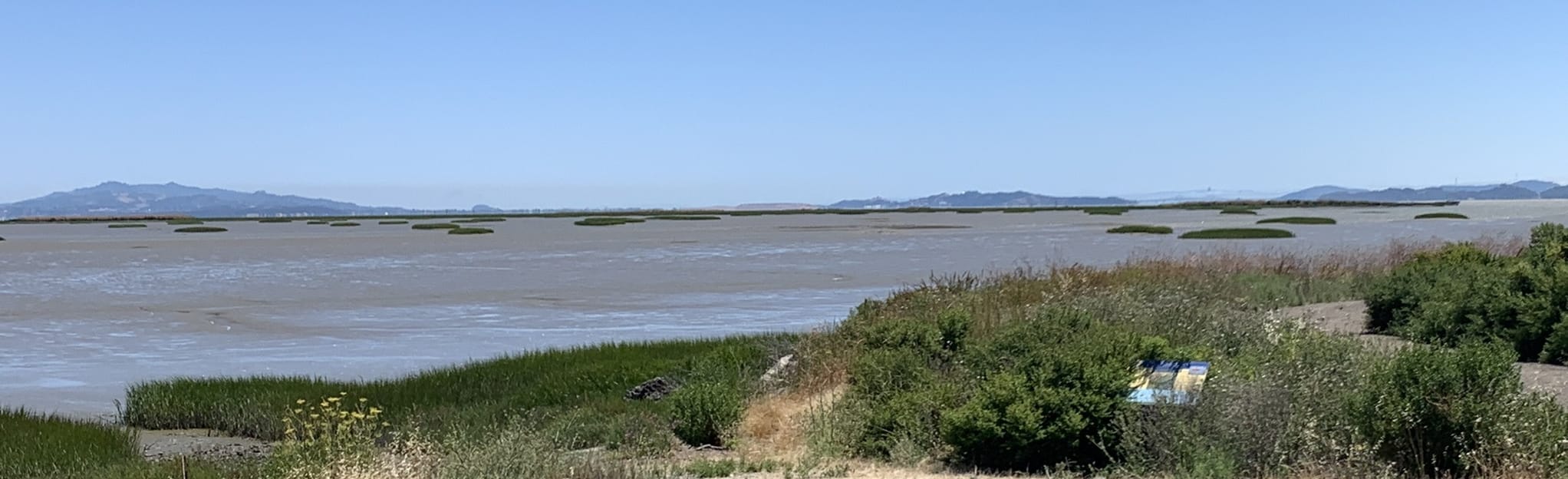 Bay Trail: Hudeman Slough to Black Point, California - 9 Reviews, Map ...
