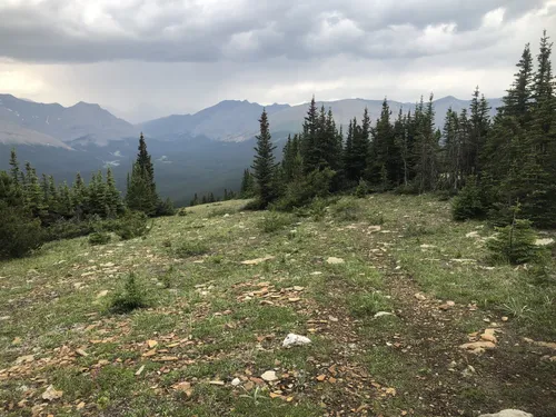 Best Hikes and Trails in Cardinal Divide Natural Area | AllTrails