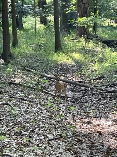 Best Hikes and Trails in Hawk Island County Park | AllTrails