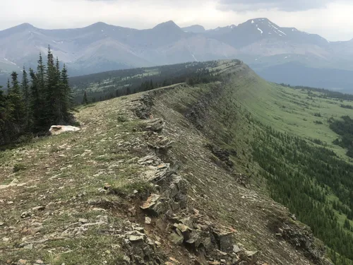 Best Hikes and Trails in Cardinal Divide Natural Area | AllTrails