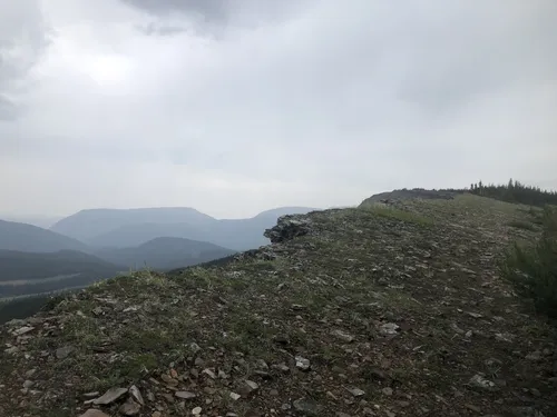 Best Hikes and Trails in Cardinal Divide Natural Area | AllTrails