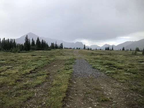 Best Hikes and Trails in Cardinal Divide Natural Area | AllTrails