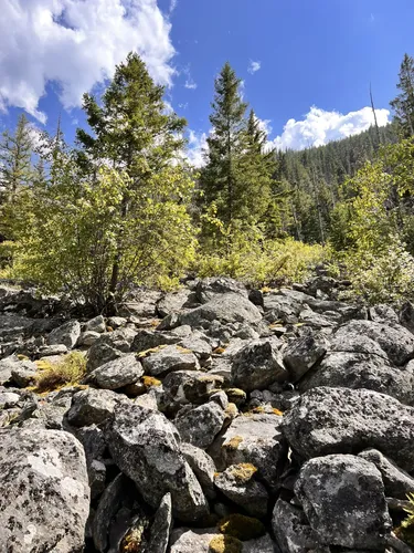 10 Best Hikes and Trails in Bitterroot National Forest | AllTrails