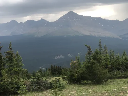 Best Hikes and Trails in Cardinal Divide Natural Area | AllTrails