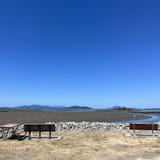 Padilla Bay Trail, Washington - 659 Reviews, Map | AllTrails