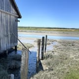 Padilla Bay Trail, Washington - 659 Reviews, Map | AllTrails