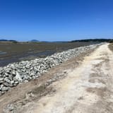 Padilla Bay Trail, Washington - 659 Reviews, Map | AllTrails