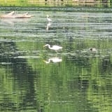 Fox River Bike Trail, Illinois - 306 Reviews, Map | AllTrails