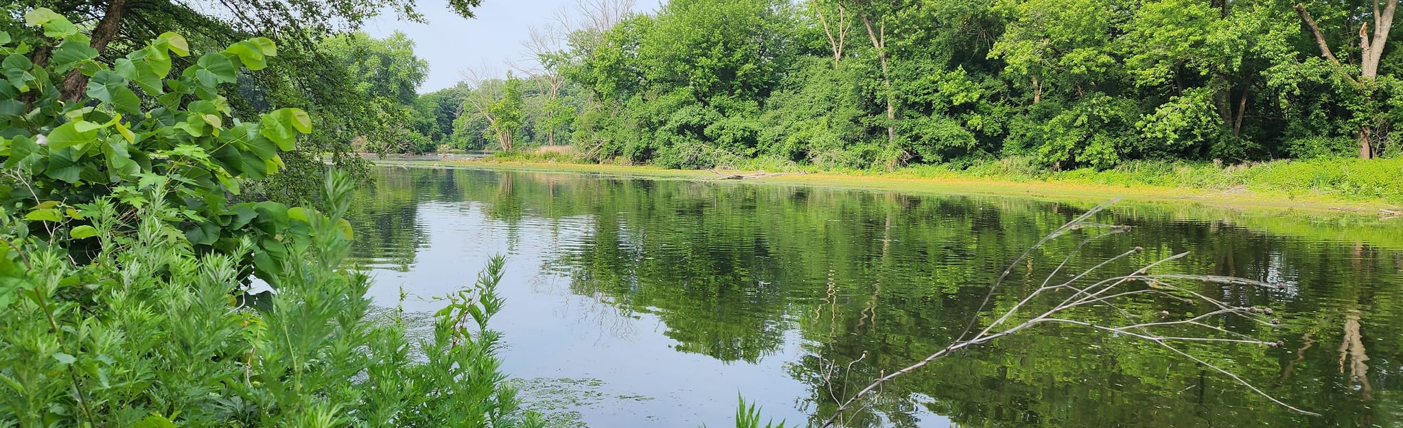 Fox River Bike Trail, Illinois - 171 Reviews, Map | AllTrails