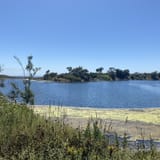 Obern Trail, California - 350 Reviews, Map | AllTrails
