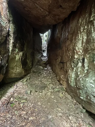 Best Hikes and Trails in Comer Scout Reservation | AllTrails