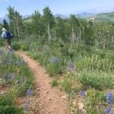 Big Mountain via Great Western Trail, Utah - 322 Reviews, Map | AllTrails