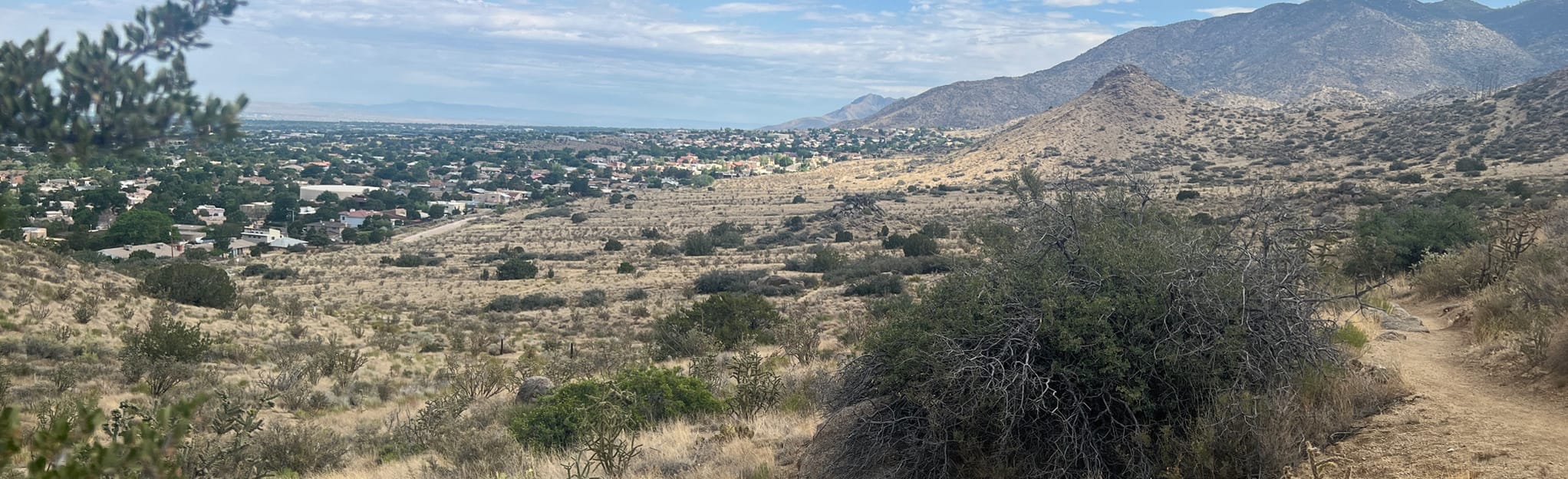 Sandia Foothills Double Loop, New Mexico - 111 Reviews, Map | AllTrails