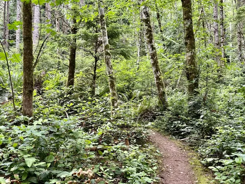 10 Best Trails and Hikes in Langley | AllTrails