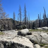 Lake Margaret Trail, California - 984 Reviews, Map | AllTrails
