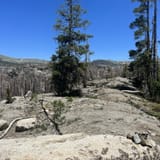Lake Margaret Trail, California - 986 Reviews, Map | AllTrails