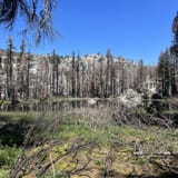 Lake Margaret Trail, California - 986 Reviews, Map | AllTrails