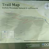 Buffalo Mountain Trail, Virginia - 622 Reviews, Map | AllTrails