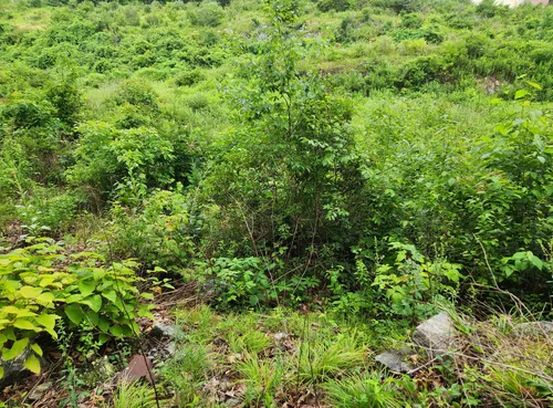 Best Hikes and Trails in Gedney Park | AllTrails