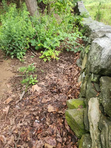 Best Hikes and Trails in Gedney Park | AllTrails