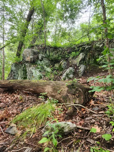 Best Hikes and Trails in Gedney Park | AllTrails