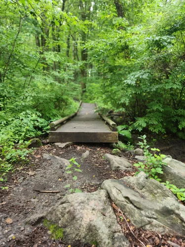 Best Hikes and Trails in Gedney Park | AllTrails
