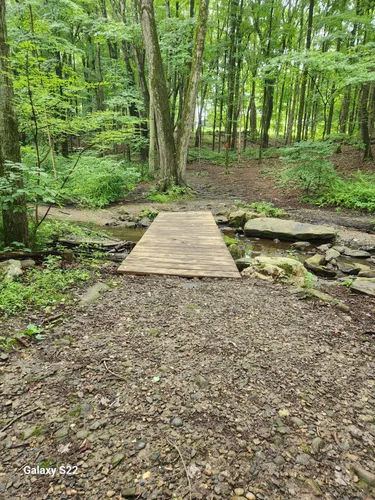 Best Hikes and Trails in Gedney Park | AllTrails