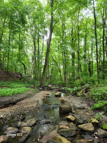 Best Hikes and Trails in Gedney Park | AllTrails