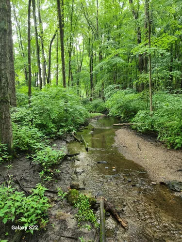 Best Hikes and Trails in Gedney Park | AllTrails