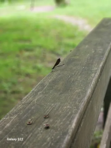 Best Hikes and Trails in Gedney Park | AllTrails