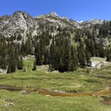 Gallatin Peak, Montana - 27 Reviews, Map | AllTrails
