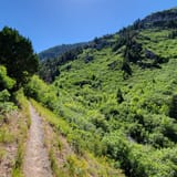 Maple Mountain, Utah - 69 Reviews, Map | AllTrails