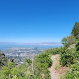 Maple Mountain, Utah - 69 Reviews, Map | AllTrails