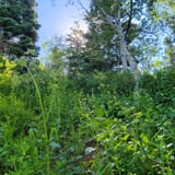 Maple Mountain, Utah - 69 Reviews, Map | AllTrails