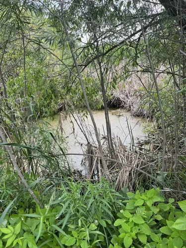 Best Hikes and Trails in Lundar Beach Provincial Park | AllTrails