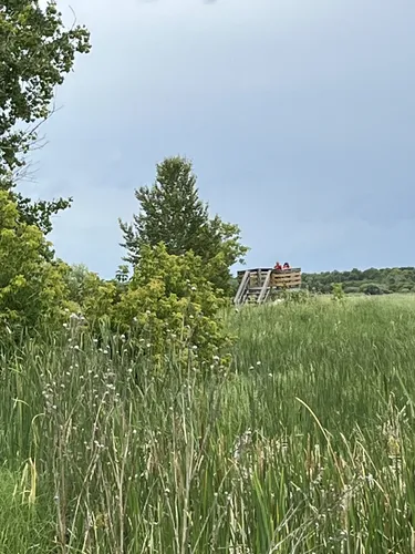 Best Hikes and Trails in Lundar Beach Provincial Park | AllTrails