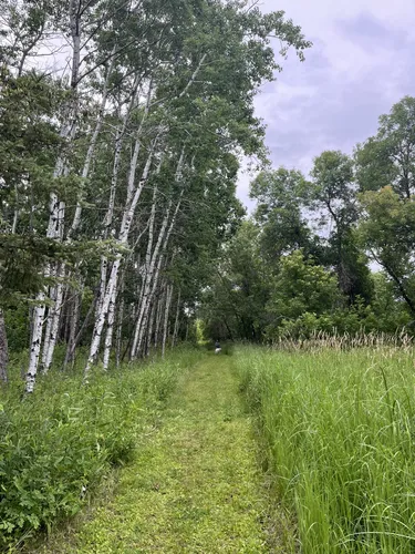 Best Hikes and Trails in Lundar Beach Provincial Park | AllTrails