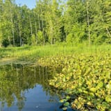 Ohio and Erie Canal Towpath: Botzum to Everett, Ohio - 772 Reviews, Map ...