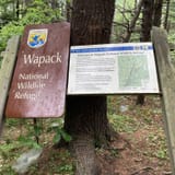 North Pack Monadnock via Wapack and Cliff Trail, New Hampshire - 258 ...